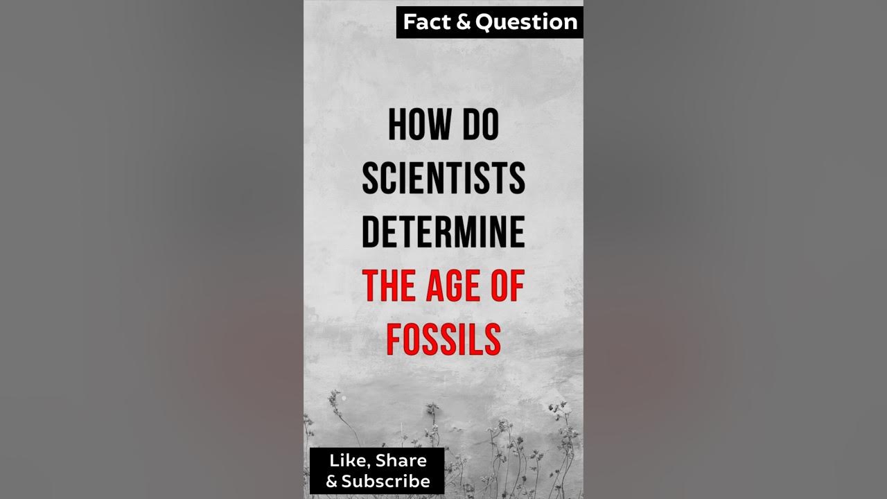 How do scientists determine the Age of Fossils? #sciencefacts - YouTube