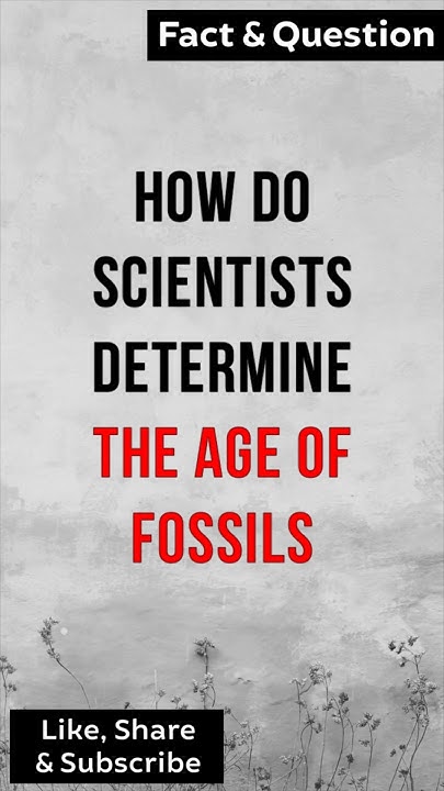How do scientists determine the Age of Fossils? #sciencefacts - YouTube
