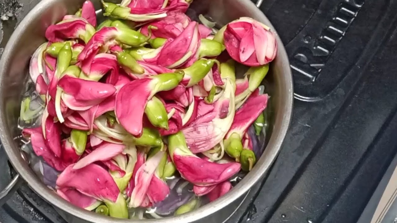 cara memasak bunga turi merah / Tumis Kembang Turi merah / manfaat ...