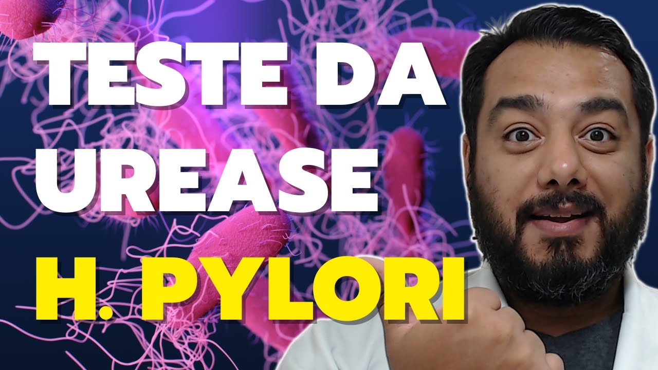 Teste De Urease Positivo Para H Pylori O Que Significa Como é Feito O