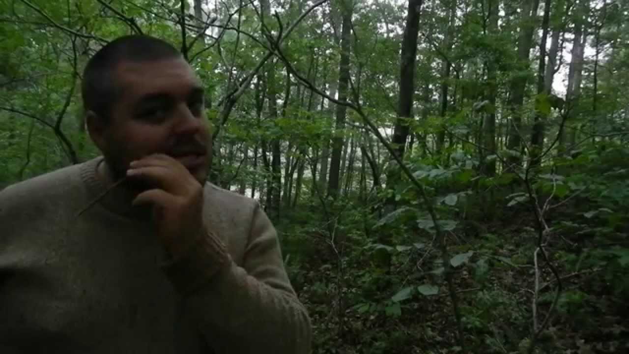 EWLS - Trips - North Sylamore Creek trail near Gunner Pool - 17MAY2014 ...