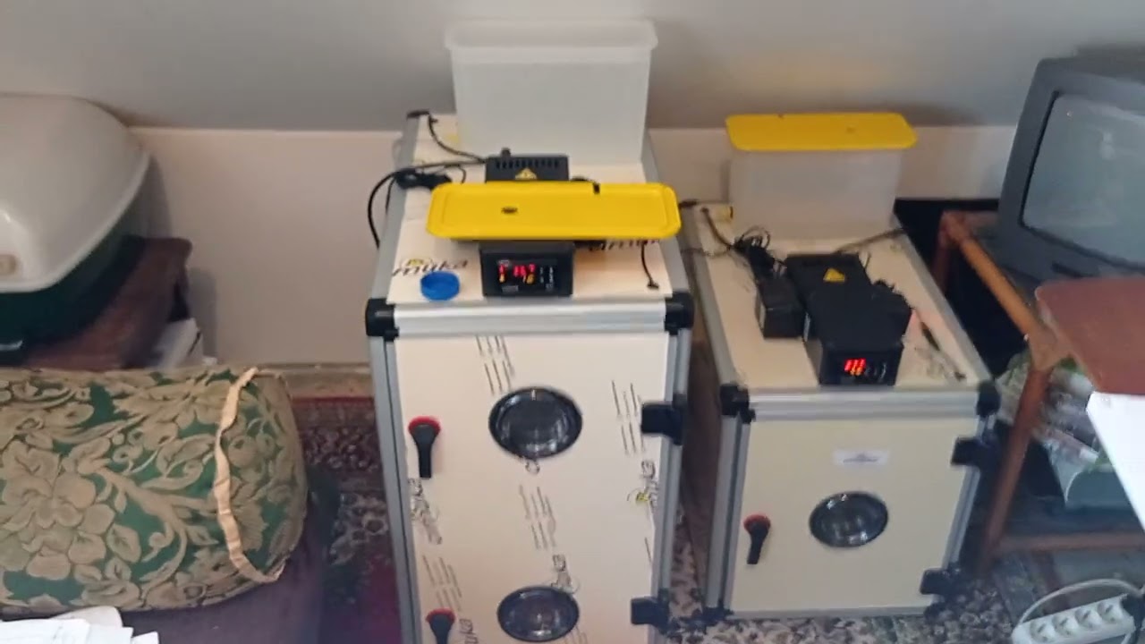 Voici ma nouvelle couveuse 😁 cimuka ct120sh !!!!! - YouTube
