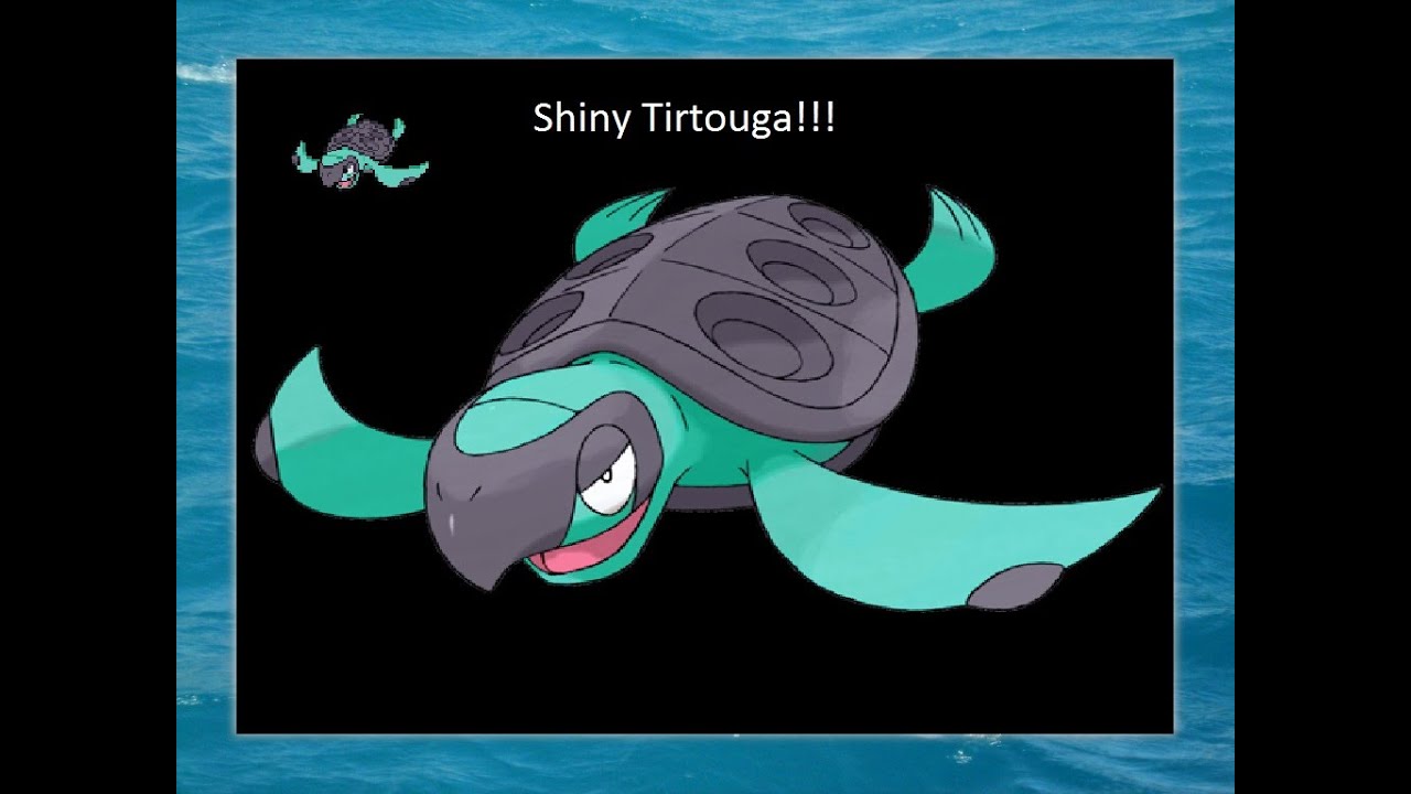 Shiny Tirtouga 177 SRs!!!PokemonX - YouTube