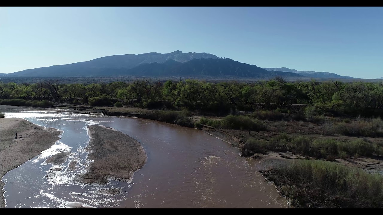 Spring along the Rio Grande Bosque. - YouTube