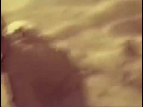 ELIYAR ELIYEV 🤼‍♂️   Başımın tacıdı Eliyar menim