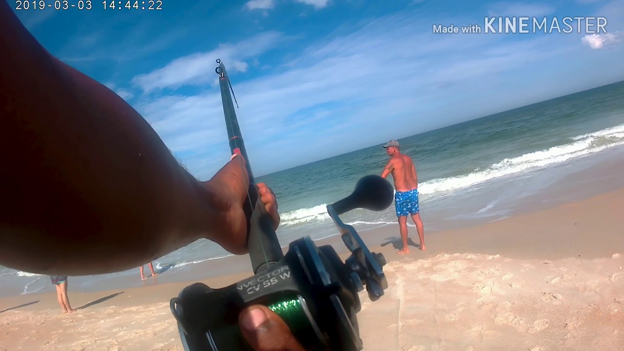 Blacktip caught during the spring migration - YouTube