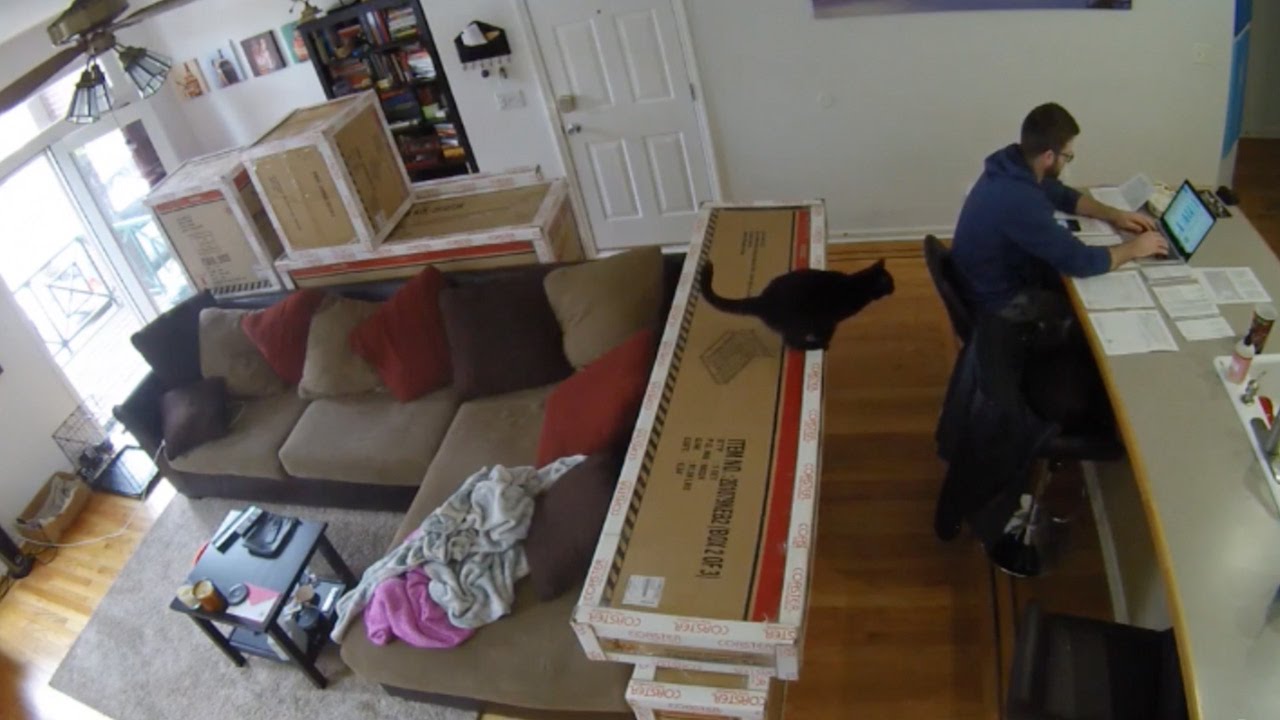 Hilarious Moment Cat Slips Off Table - YouTube