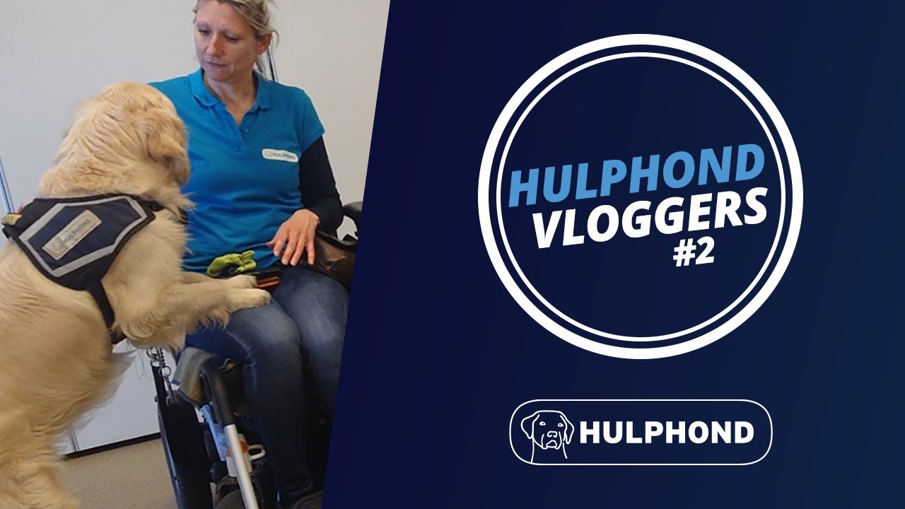 Hulphond Vloggers #2 | Training | Hulphond Nederland - YouTube