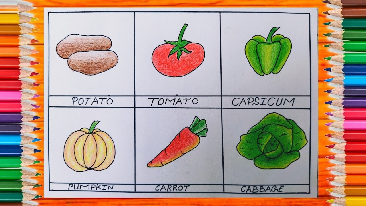 6 Different types of Vegetables Drawing Easy| Vegetables chart drawing ...