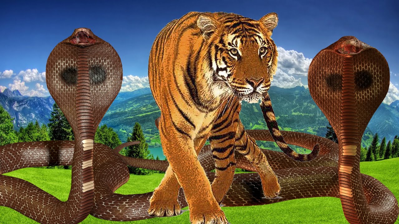 Snake finger Family rhymes for Children | Tiger Finger family | Animal ...