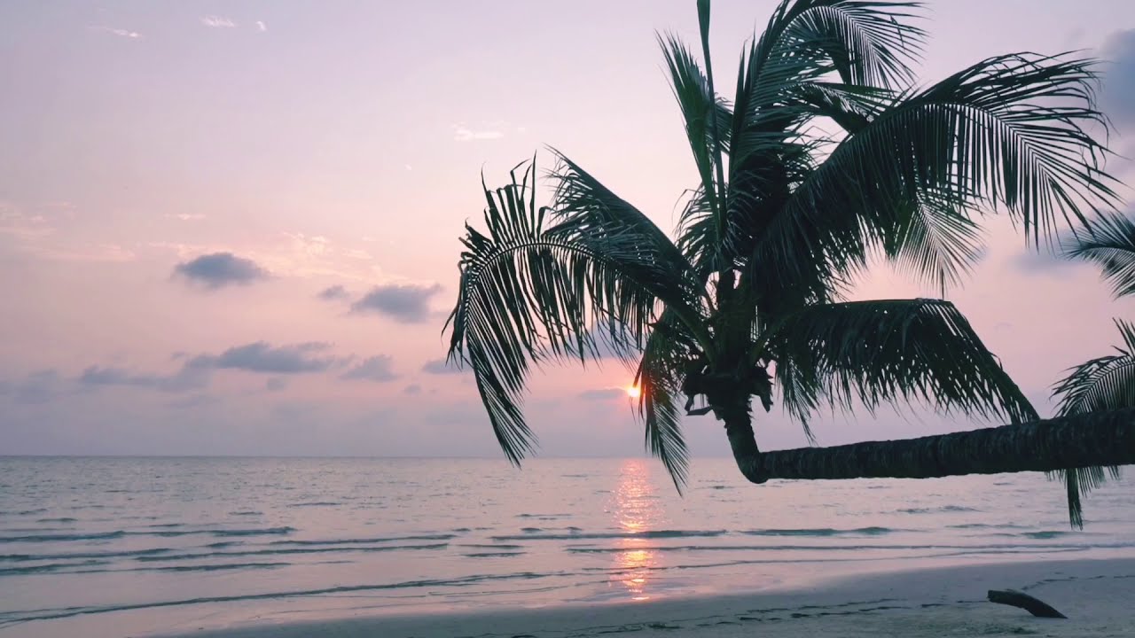 Sunset Dance - Original AMBIENT CHILLOUT LOUNGE RELAXING BEACH MUSIC ...