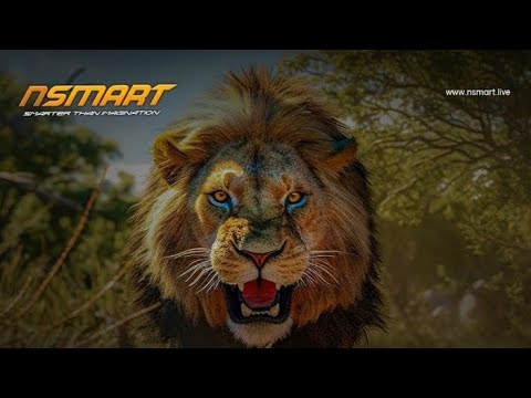 NRK nordek coin new project Lunch Nsmart project - YouTube