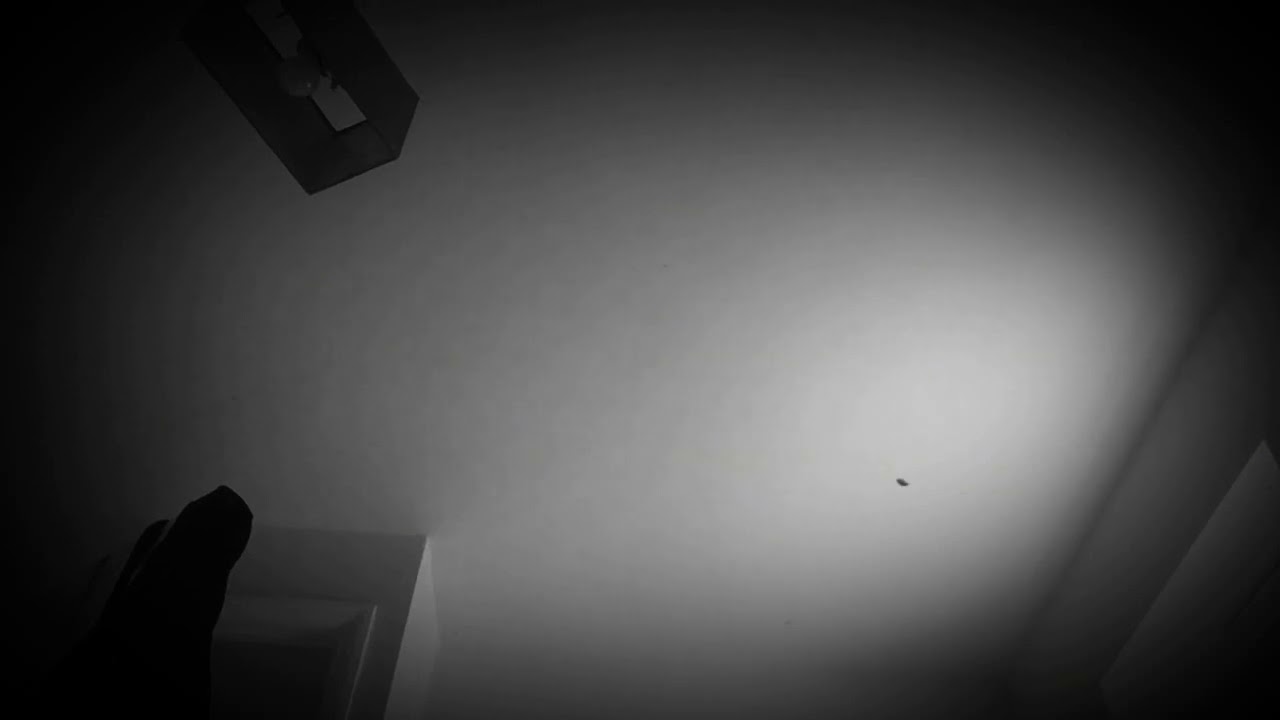 *Insert funny title here* - YouTube