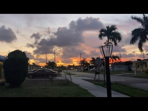 **Christmas Eve** Early Morning Yard Day - I haven’t Cut My Yard In 4 ...