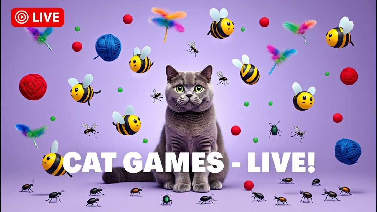 24/7 Live CAT GAMES Ultimate Hunting GAME FOR CATS Mice, Lizard ...