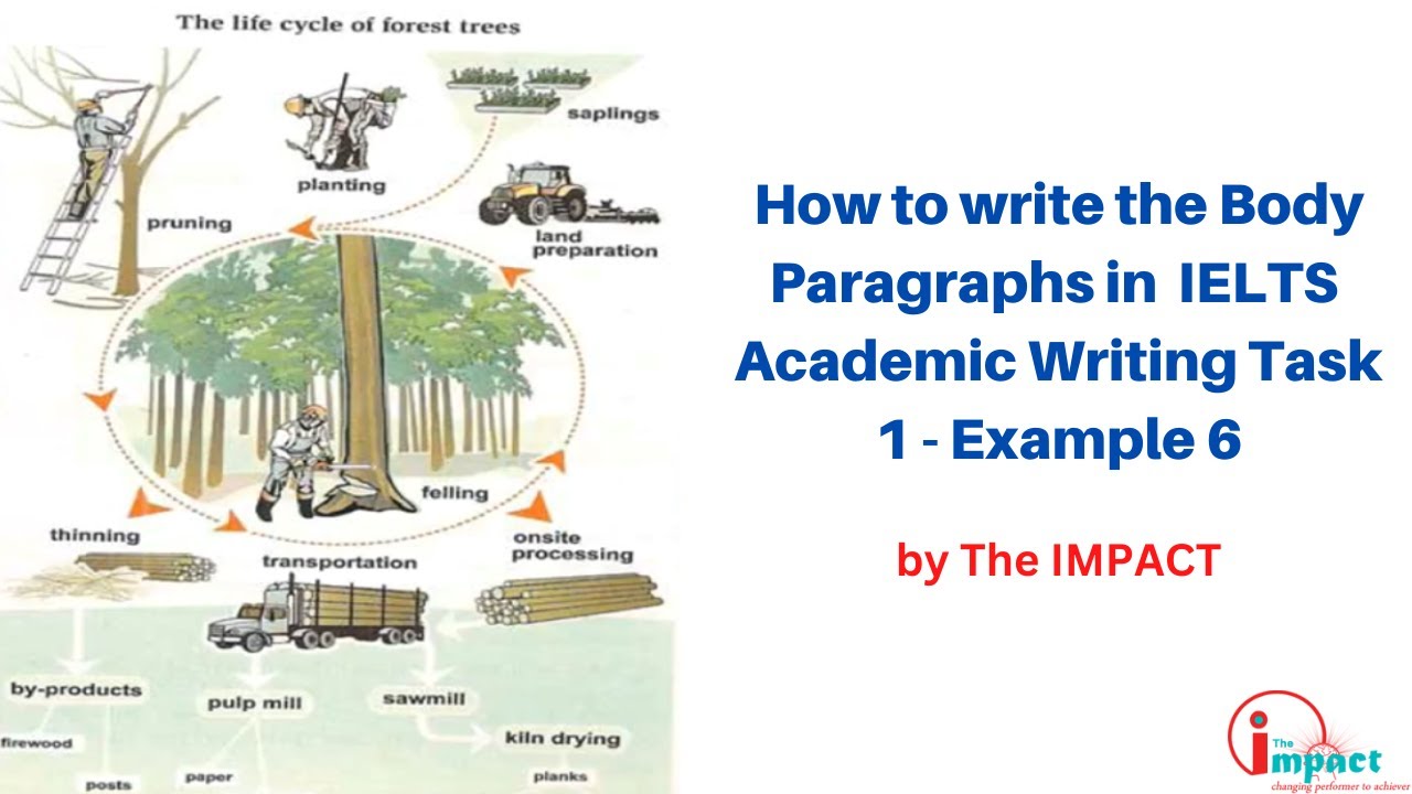 How to write the Body Paragraph of a Process Diagram in IELTS Academic ...