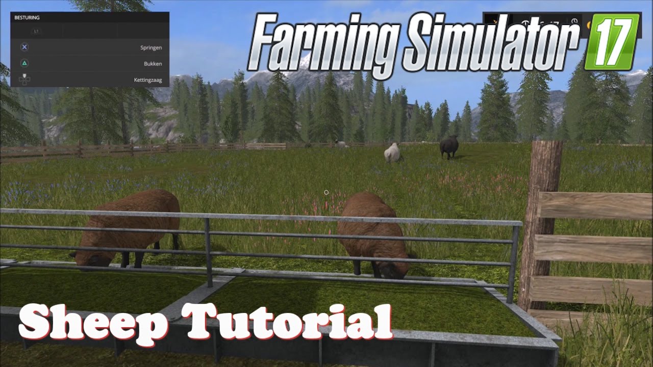 Farming Simulator 17 Sheep tutorial - YouTube