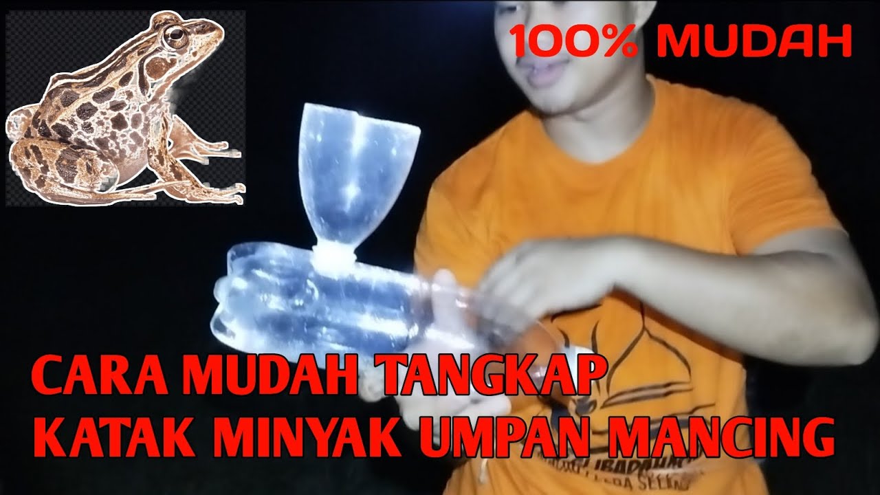 °Cara tangkap katak minyak° 100% Sangat Mudah Umpan killer casting ...