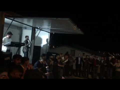 disa govend Dilan halaya gel