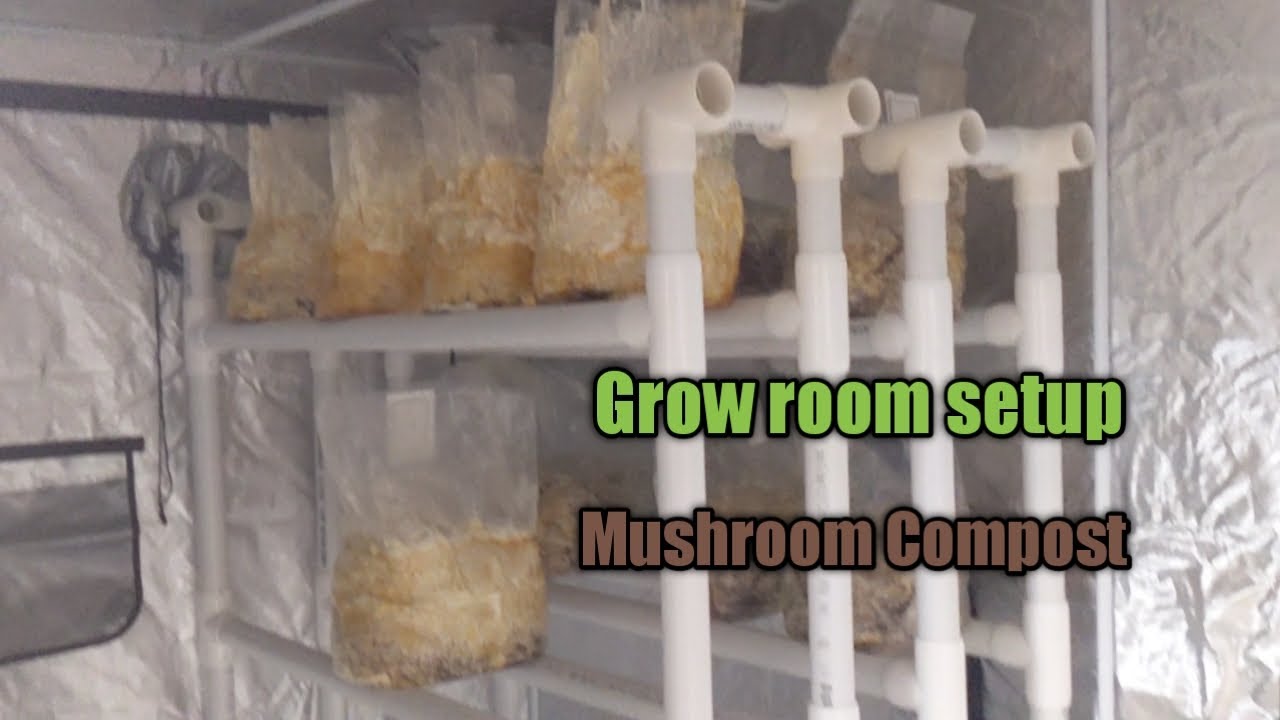 How to grow mushrooms. Grow room setup and mushroom compost. - YouTube