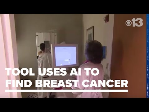 University of Maine students work on AI tool to help detect breast cancer