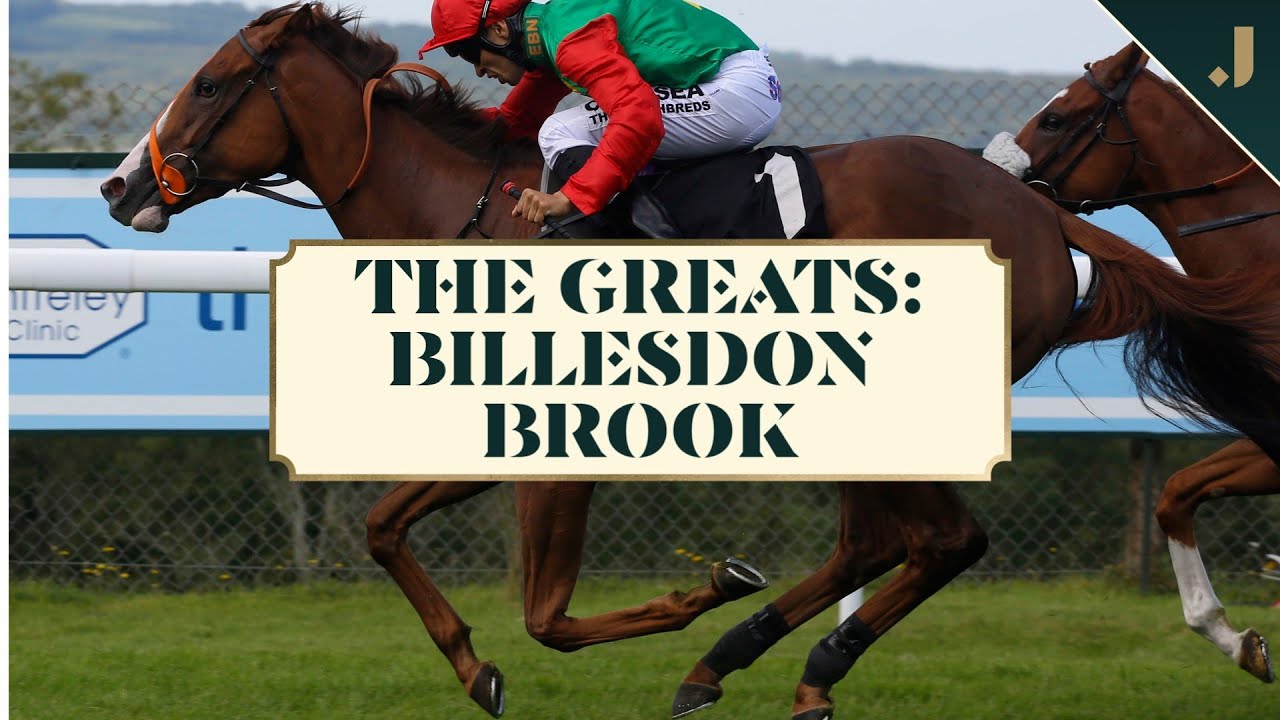 What is the story behind the longest-priced 1,000 Guineas winner EVER ...