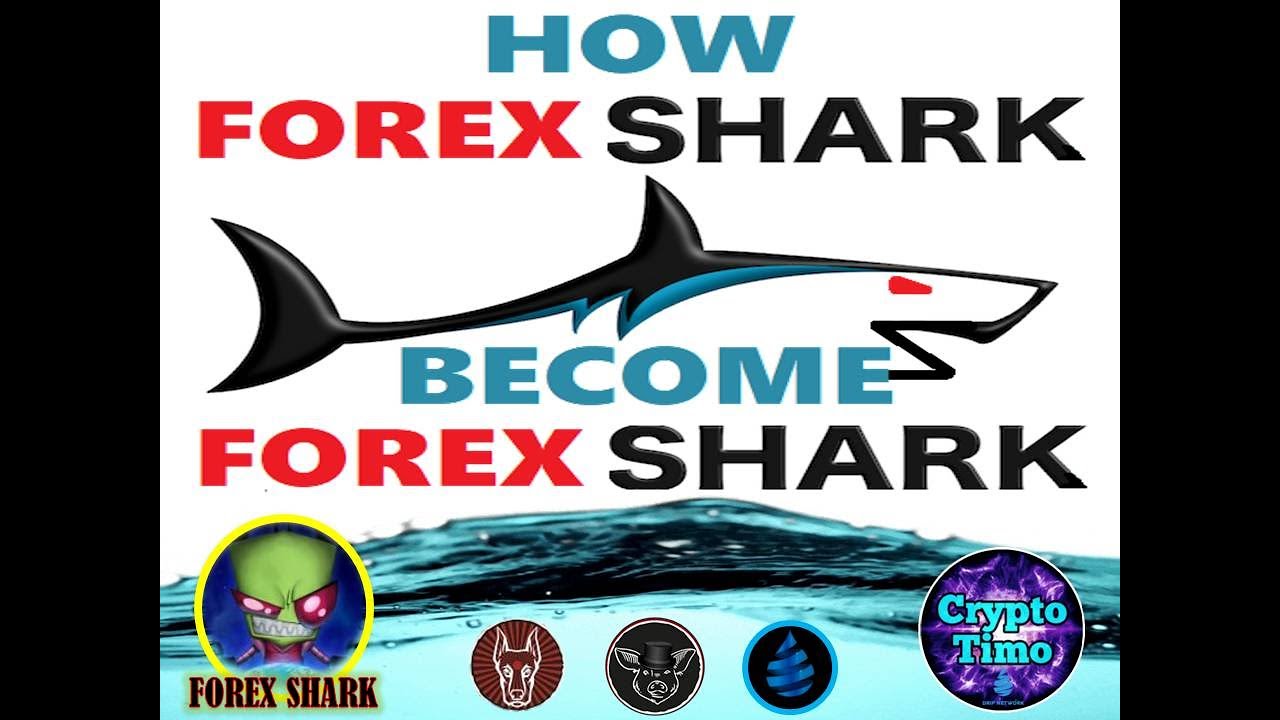 How Forex Shark become Forex Shark | Animal Farm | Drip Network - YouTube