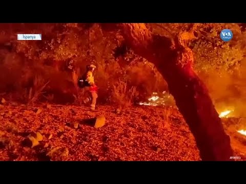 Avrupa’nın Güneyinde Orman Yangınları | VOA Türkçe