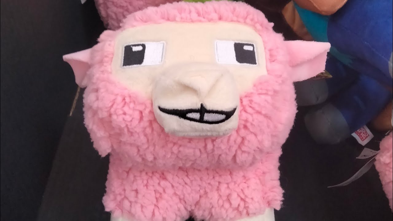 Minecraft SMP (END FIGHT) - YouTube