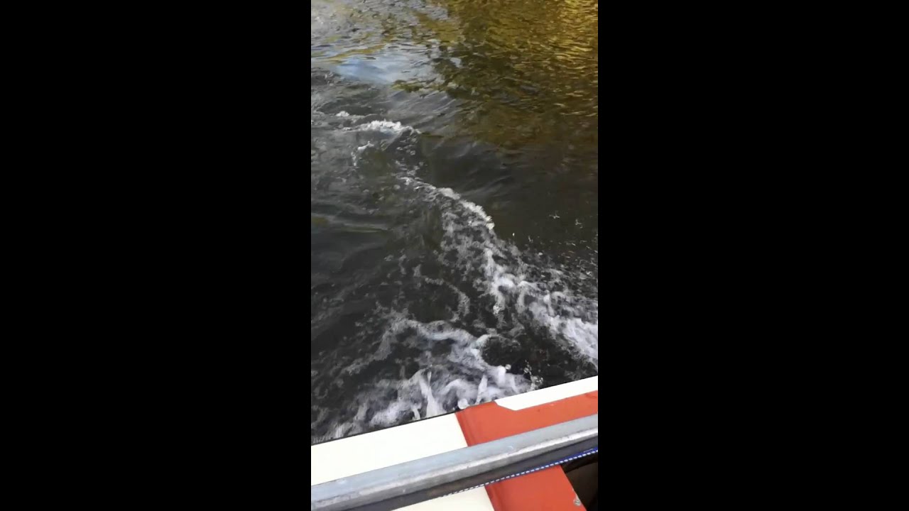 Hamilton Jet boat 83 308 holden - YouTube