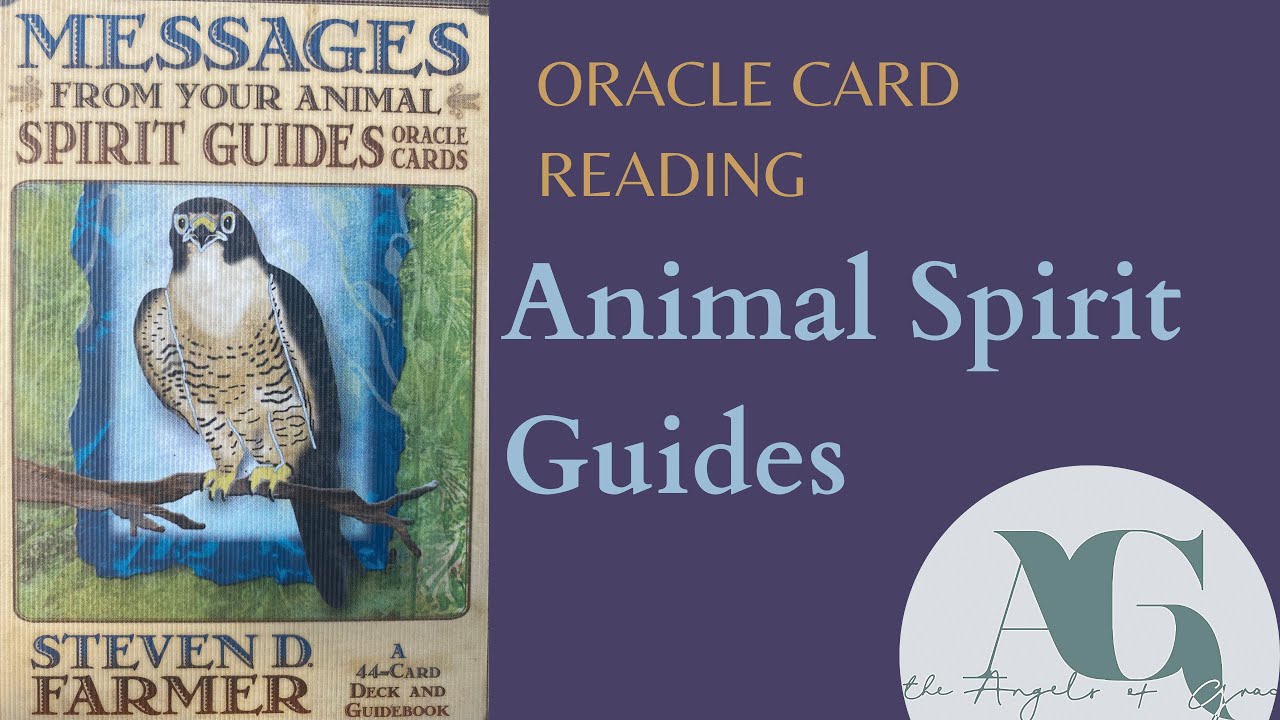 Animal Spirit Guides - Daily Oracle Card Reading - YouTube