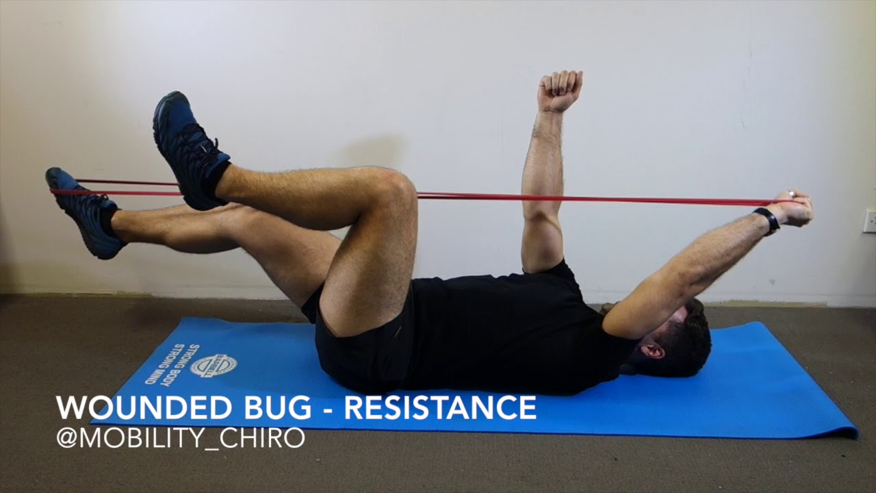 Wounded Bug with Resistance - YouTube