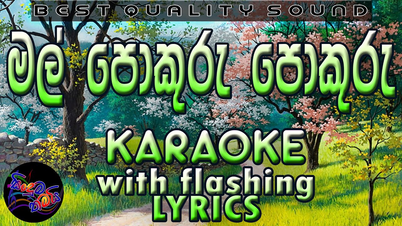 Mal pokuru pokuru Karaoke with Lyrics (Without Voice) - YouTube