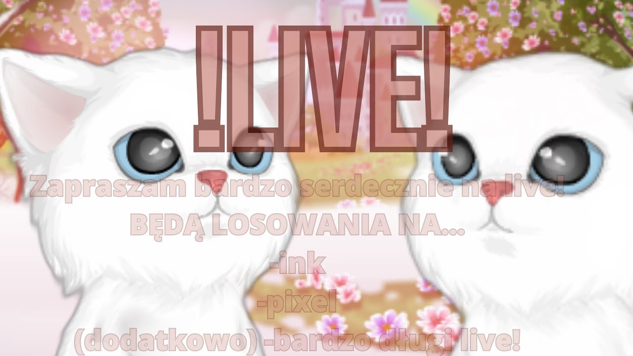 🔴 LIVE MSP 🔴LOSO NA INK I PIXELKA! | zapraszam - YouTube