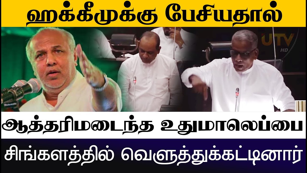 ஹக்கீமை கிழக்குக்கு வர வேணாம் என்று எப்படி சொல்ல முடியும்| MS ...