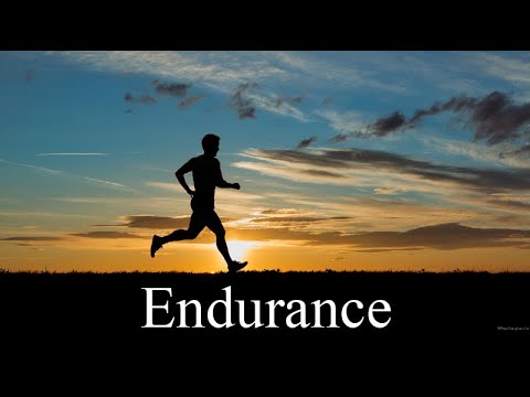 Endurance Part 1 - YouTube