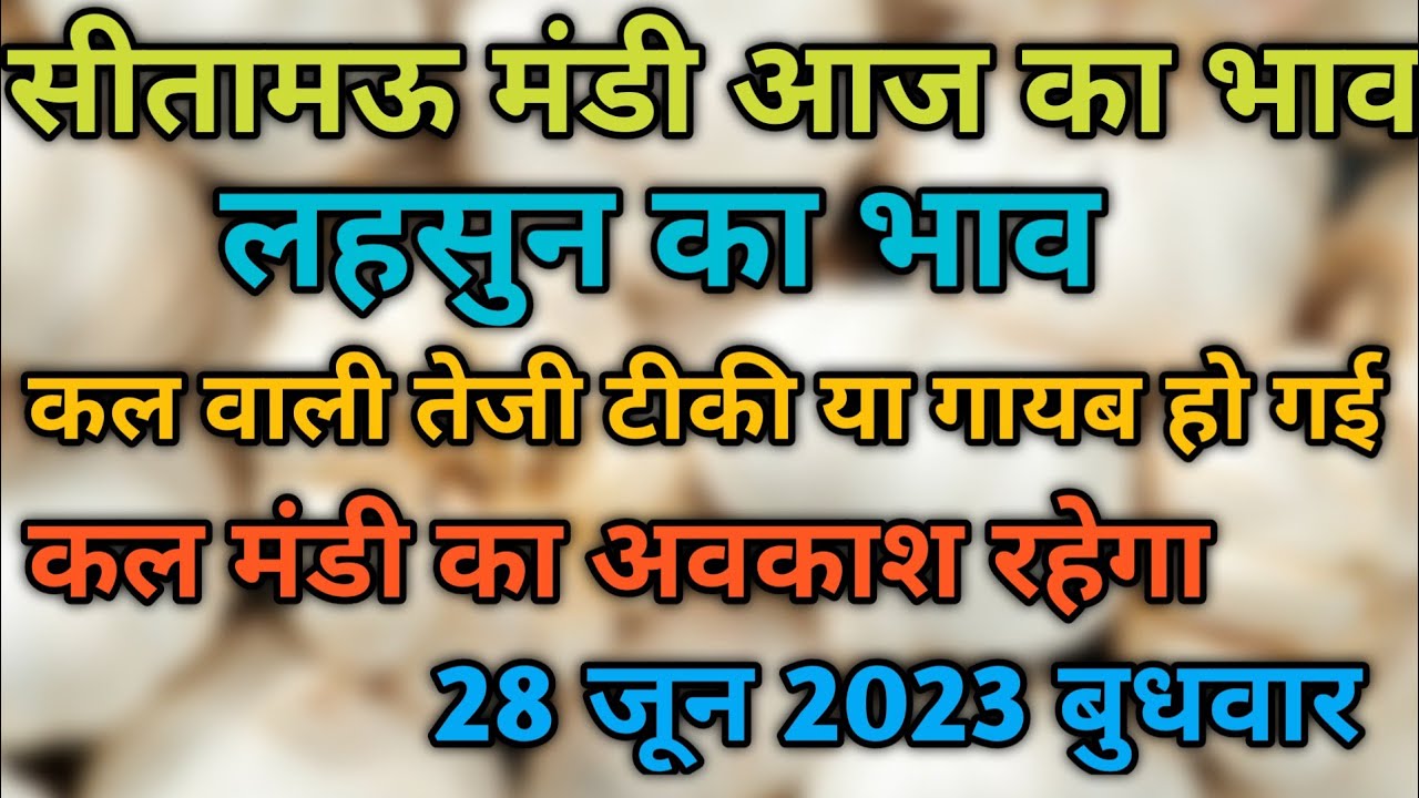 today garlic rate / Sitamau mandi lahsun ka bhav / Fresh garlic rate ...