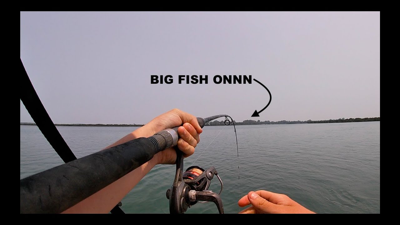 Fishing the Barwon River!! (fishing ep15) - YouTube