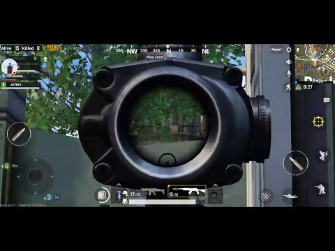 cari ayam kampus!!