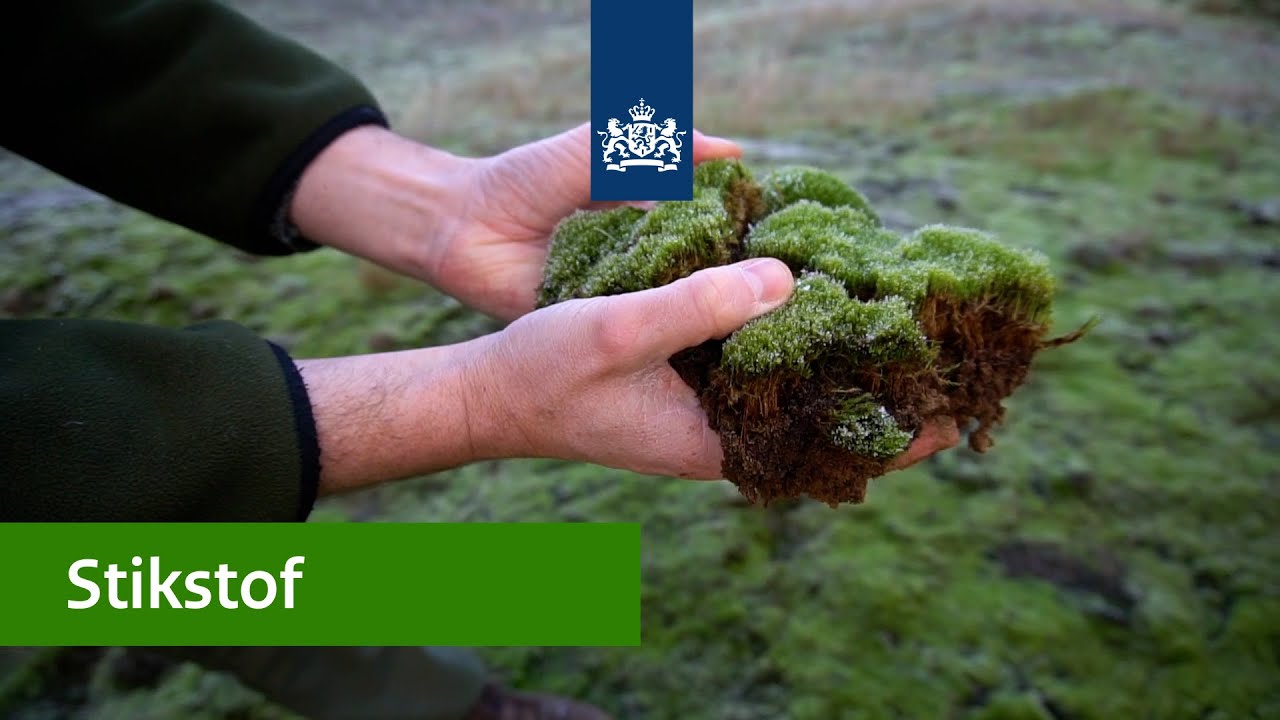 Stikstof | Stikstofreductie en natuurverbetering - YouTube