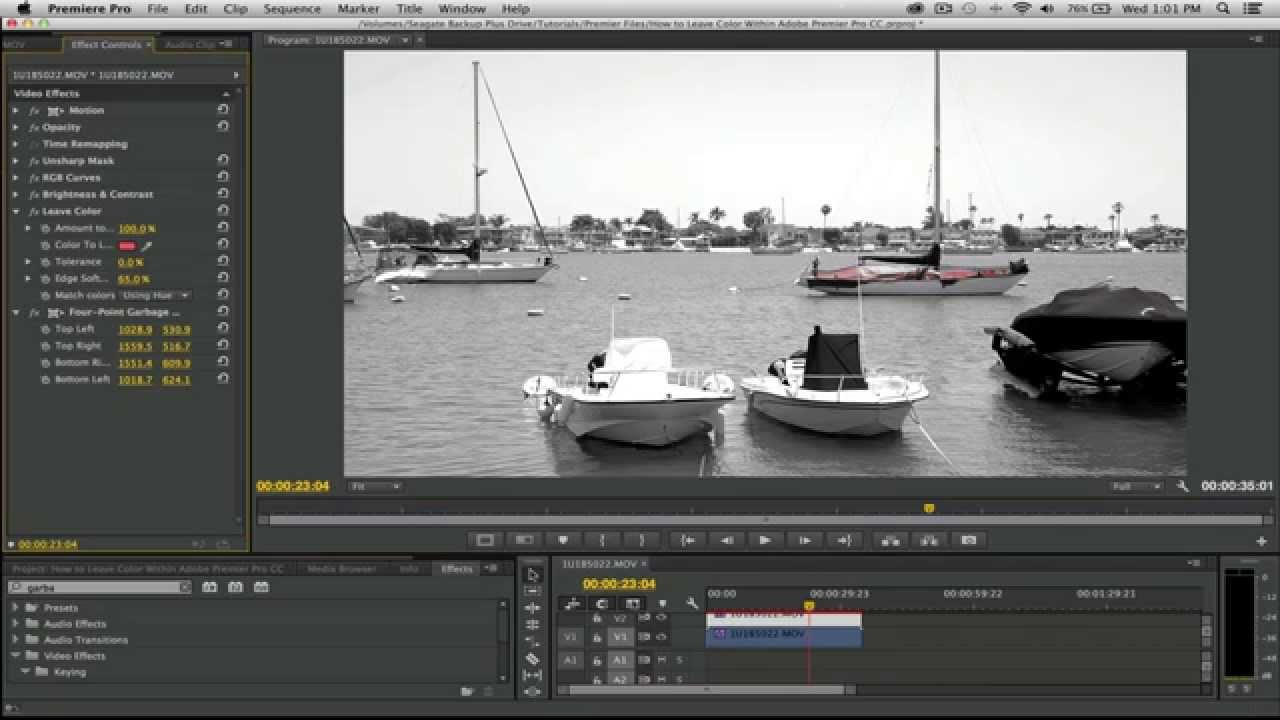 The Pleasantville Effect and How to Isolate Colors in Adobe Premier Pro ...