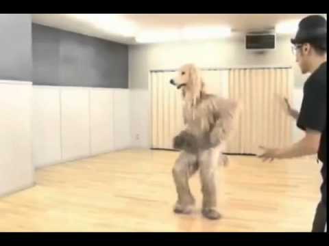 Funny Commercial Consome Panchi Learns to Dance Japanese Commercial ...