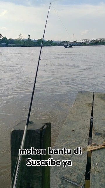 Mancing eh malah lewat si longbut ini #viralvideo - YouTube