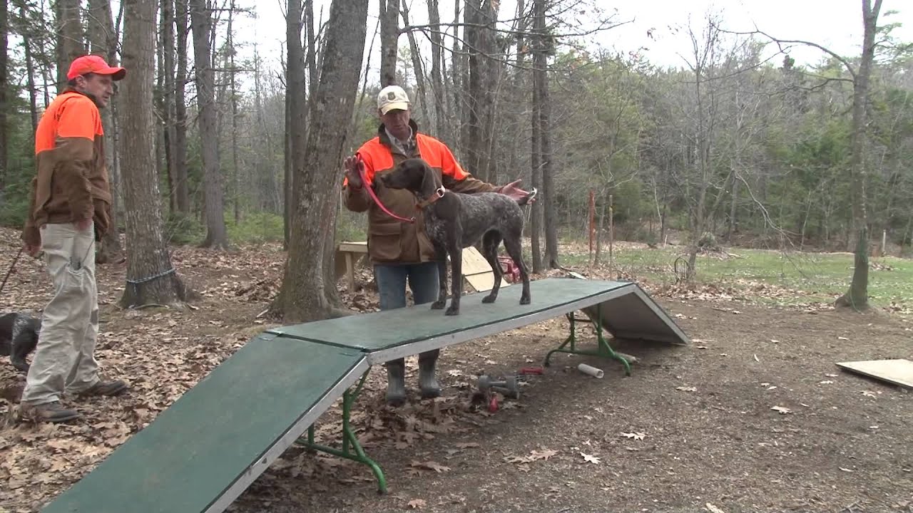The Versatile Hunting Dog with Jason Carter Part 4 - YouTube