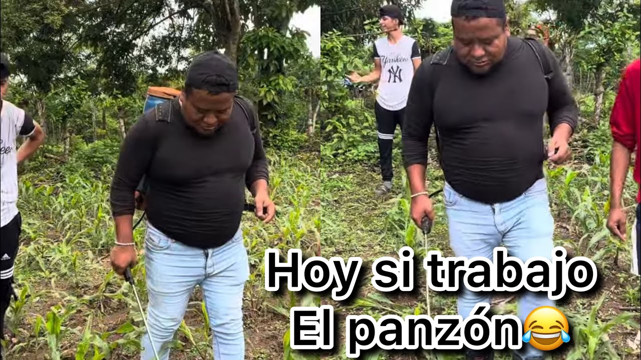 Por primera vez el panson trabaja ¡Hoy si le demostraré a todos que yo ...