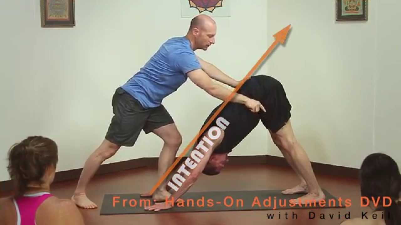 Using Your Body Weight and Good Body Mechanics Downward Dog - Yoga ...