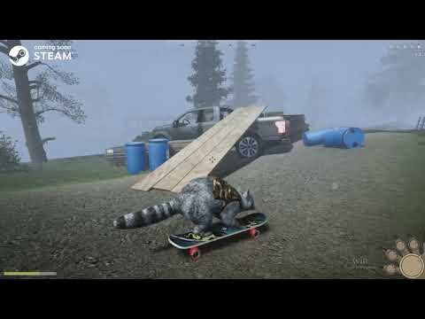 Raccoon skillfully masters the skate. WANTED RACCOON | INDIE-GAME - YouTube