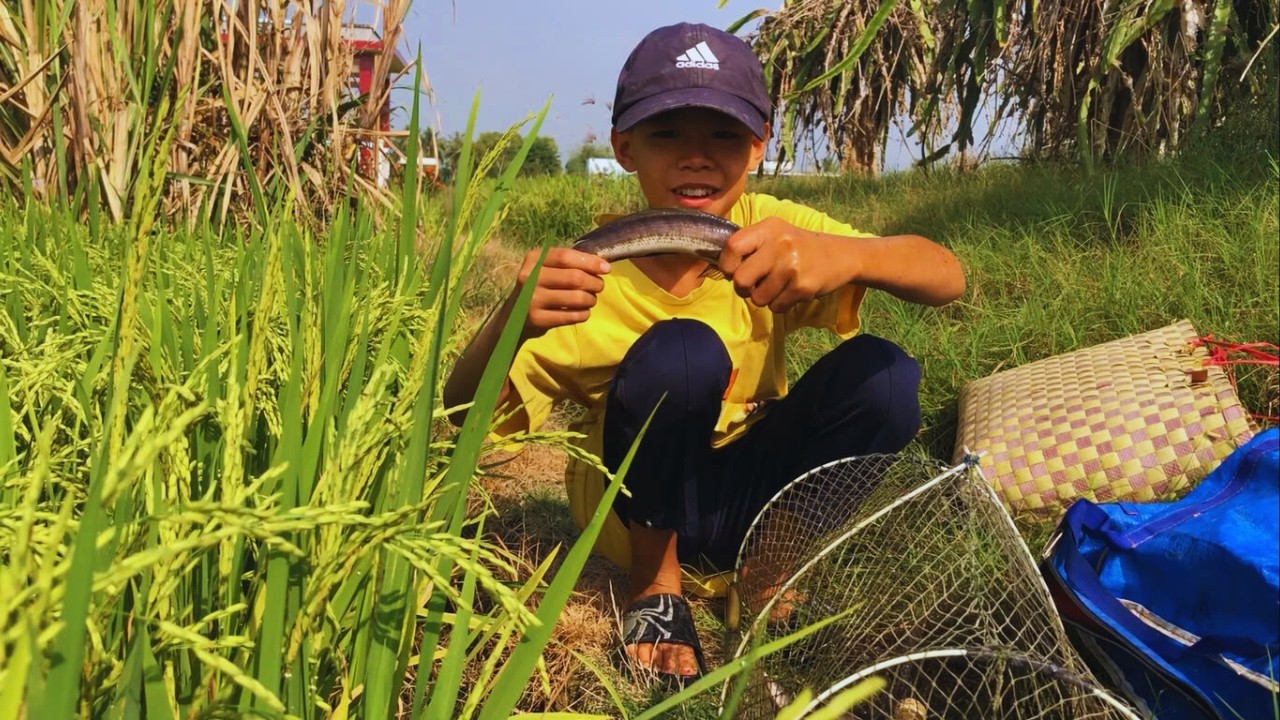 Nature's Gift - Catching Big Fish and Frogs with Traps! - YouTube