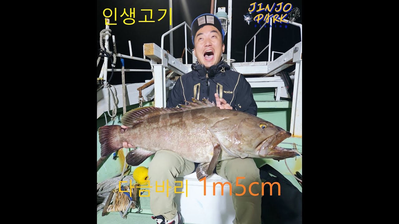 대마도최초 다금바리1m5cm 잡았습니다 식인상어 인줄 알았어요 다금바리낚시 대마도기행 5부작 마지막편 Youtube