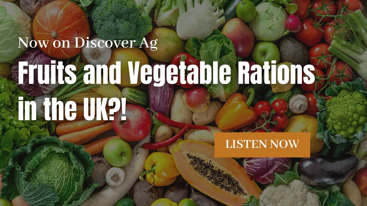 Fruit & Vegetable Rations in the UK?! | Episode Clip 073 - YouTube